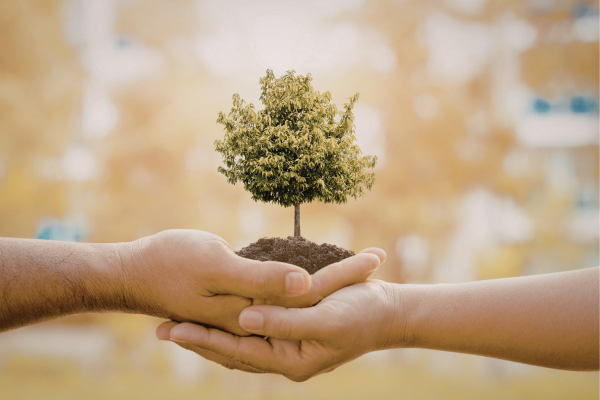 The Clothworkers’ Foundation: A Comprehensive Overview