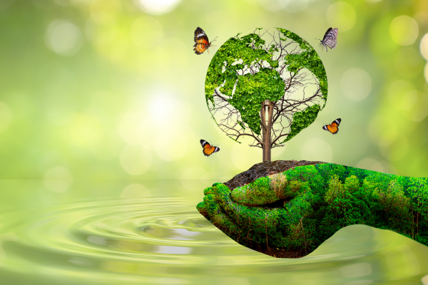 Highlands & Islands Environment Foundation (HIEF)