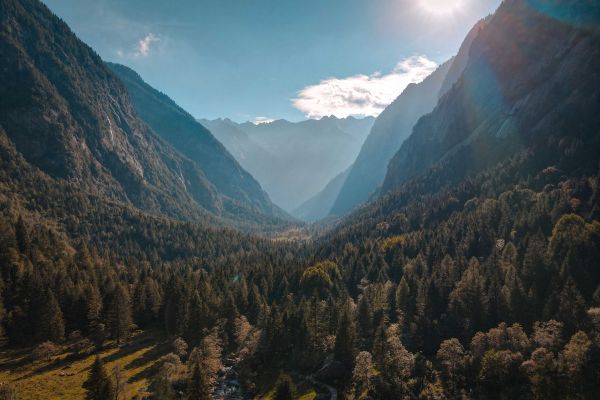 The Clothworkers’ Foundation: A Comprehensive Overview